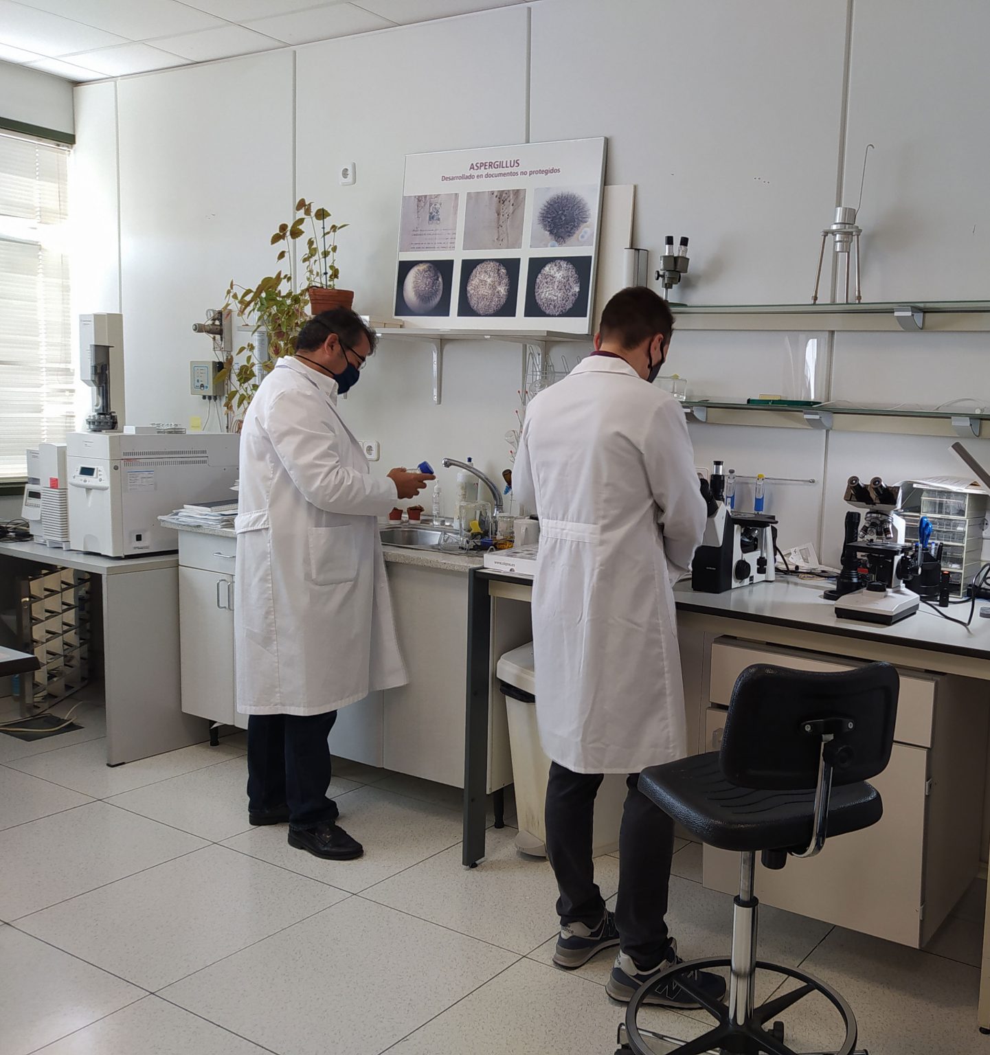 Documentos de seguridad y soluciones tecnológicas avanzadas - Signe