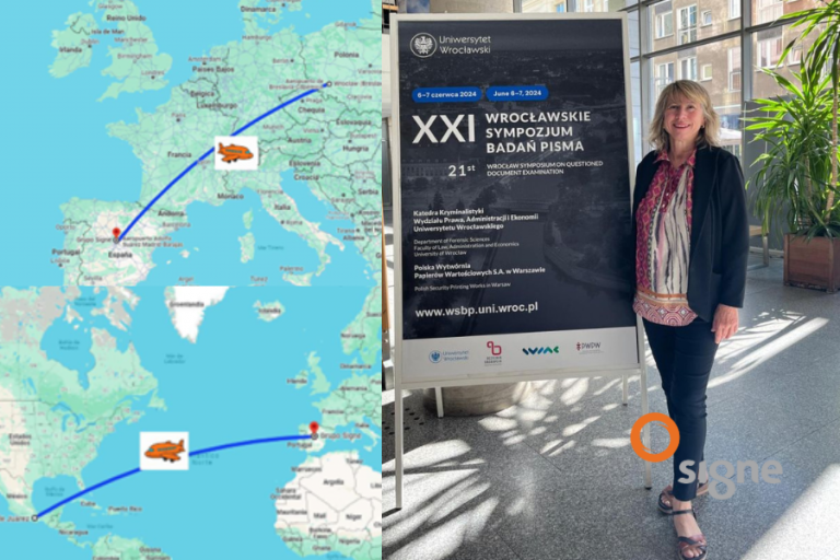 Documentos de seguridad y soluciones tecnológicas avanzadas - Signe